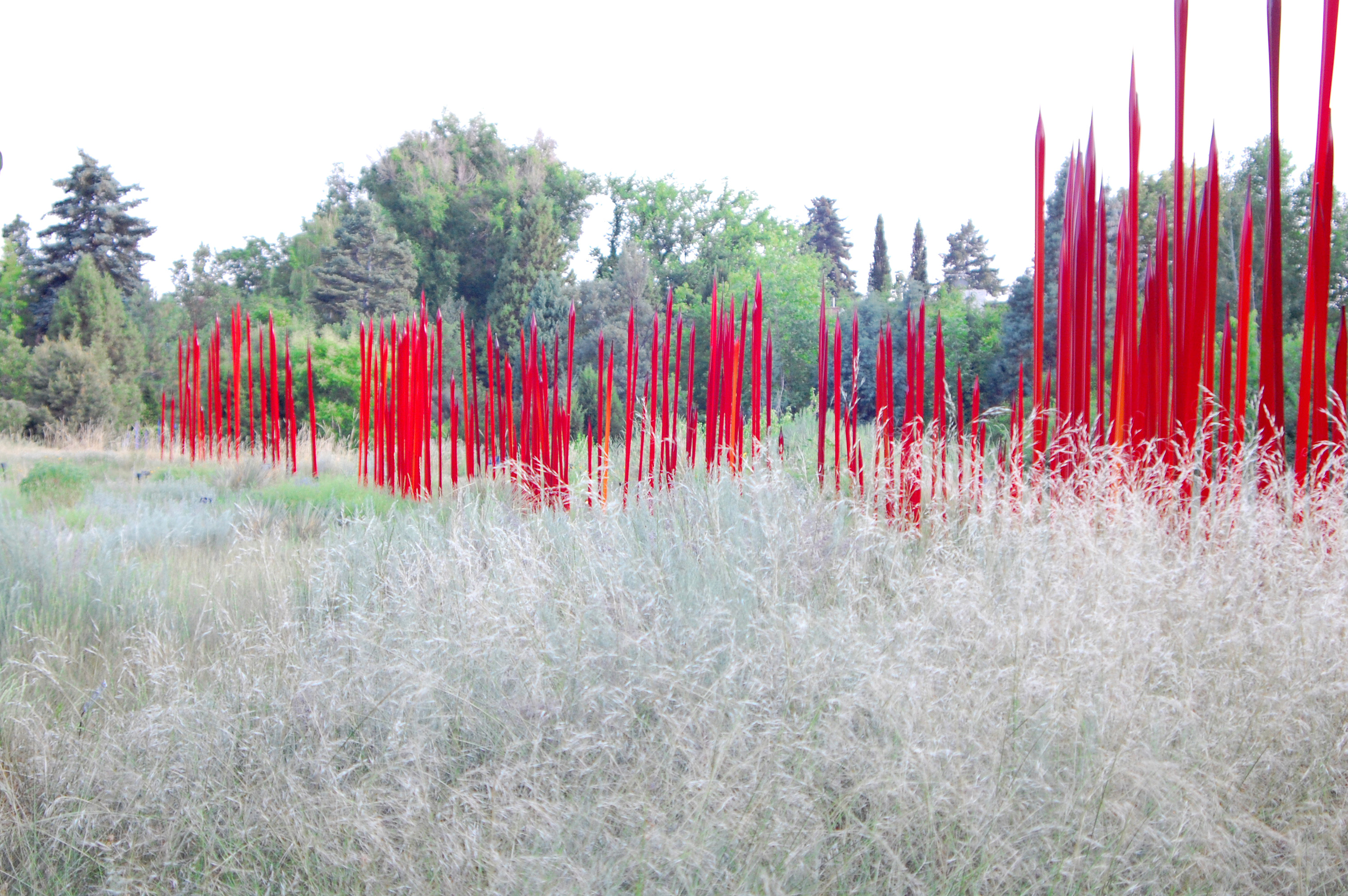 Field of Glass | Shutterbug